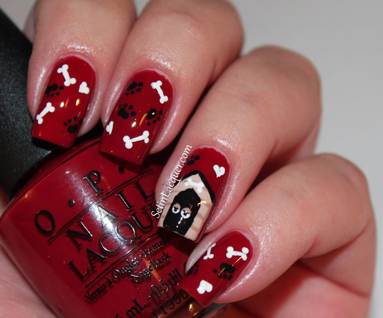 Unhas com cães e gatos